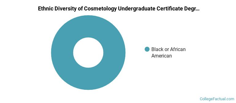 The Undergraduate Cosmetology Major at Barber Tech Academy