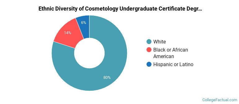 The Undergraduate Cosmetology Major at Capri College, Cedar Rapids