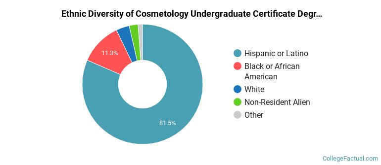 The Undergraduate Cosmetology Major at Celebrity School of Beauty