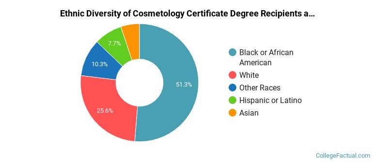 The Undergraduate Cosmetology Major at Charleston Cosmetology Institute