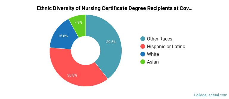 The Undergraduate Nursing Major at Covenant School of Nursing and ...