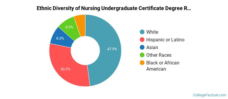 The Undergraduate Nursing Major at Covenant School of Nursing and ...