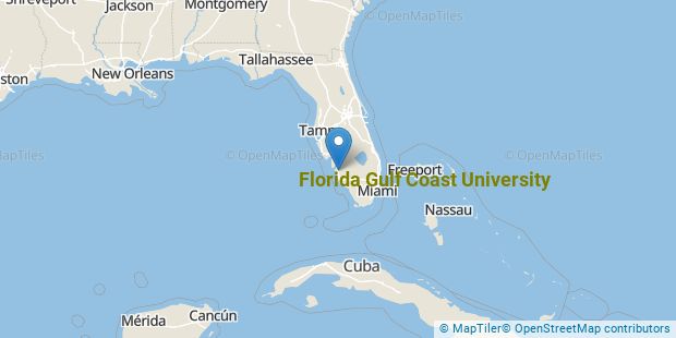 Florida Gulf Coast University Overview