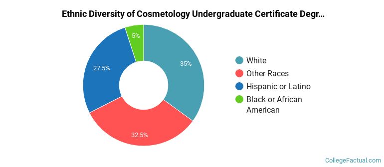 The Undergraduate Cosmetology Major at Fredrick and Charles Beauty College