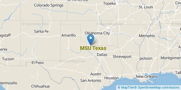 MSU Texas Overview