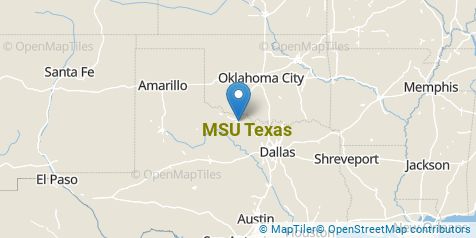 MSU Texas Overview
