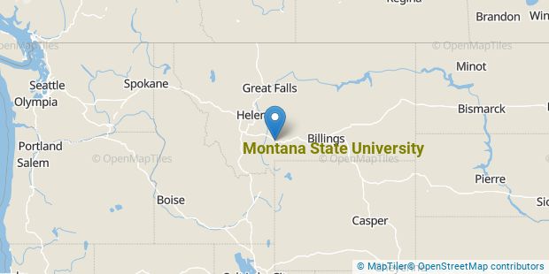 Montana State University Overview