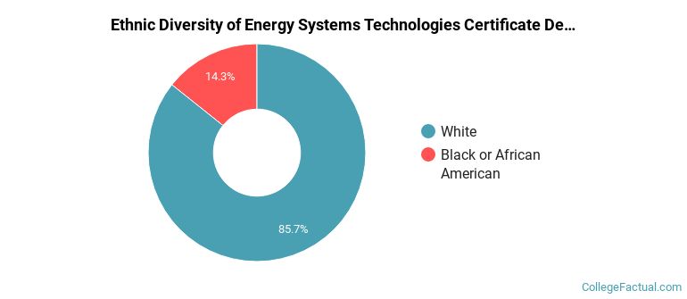 The Undergraduate Energy Systems Technologies Major at North Georgia ...
