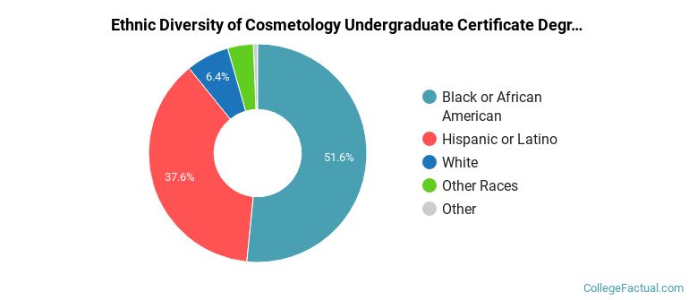 The Undergraduate Cosmetology Major at Ogle School Hair Skin Nails-Dallas