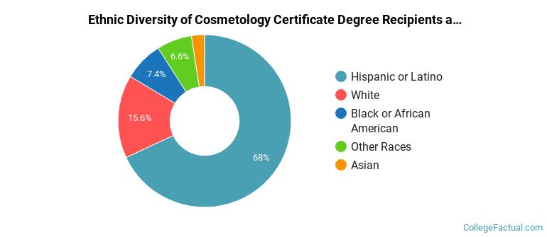 The Undergraduate Cosmetology Major at Salon Success Academy - Upland