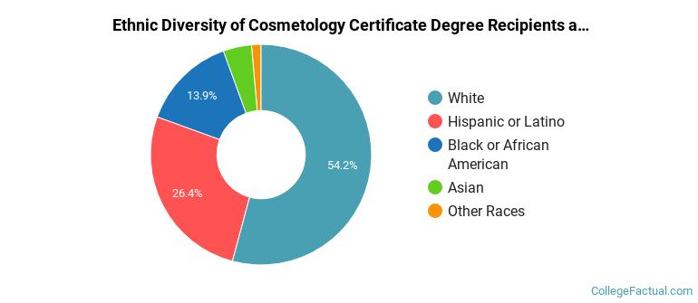The Undergraduate Cosmetology Major at The Salon Professional Academy ...