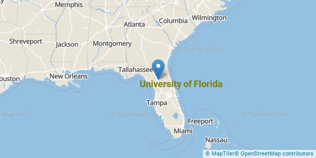 University of Florida Overview