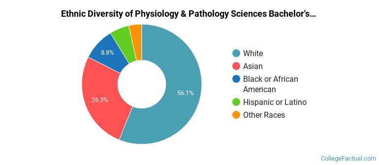 The Undergraduate Physiology & Pathology Sciences Major at University ...
