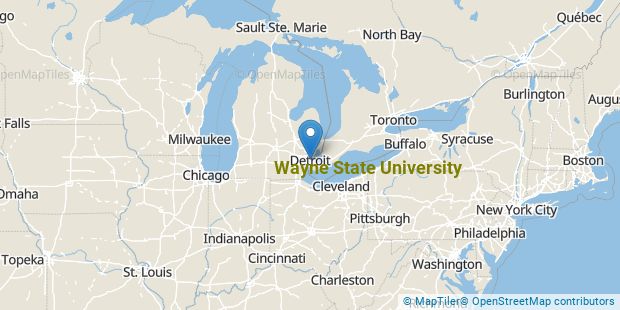 Wayne State University Overview