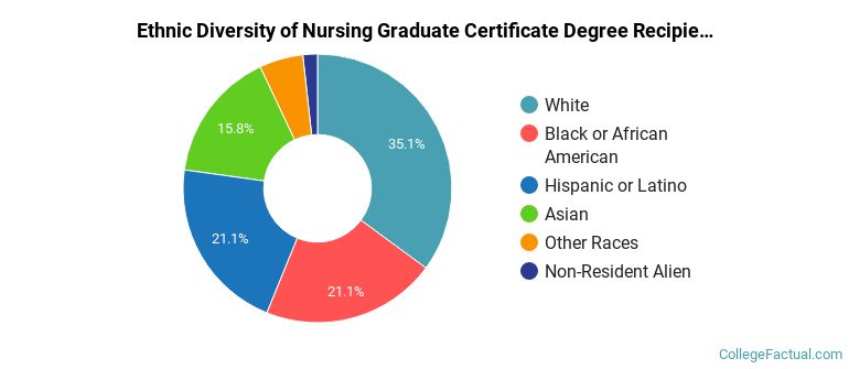 Graduate Nursing Programs at The University of Texas at Arlington