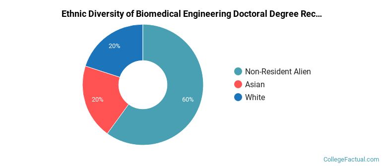 Graduate Biomedical Engineering Programs at University of North Texas
